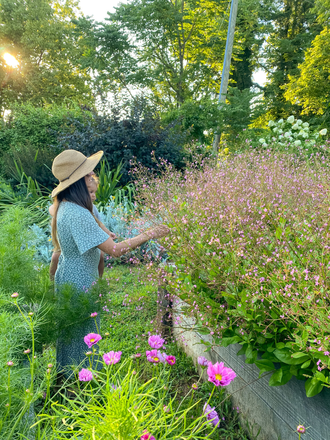 Home - milkmaid farm