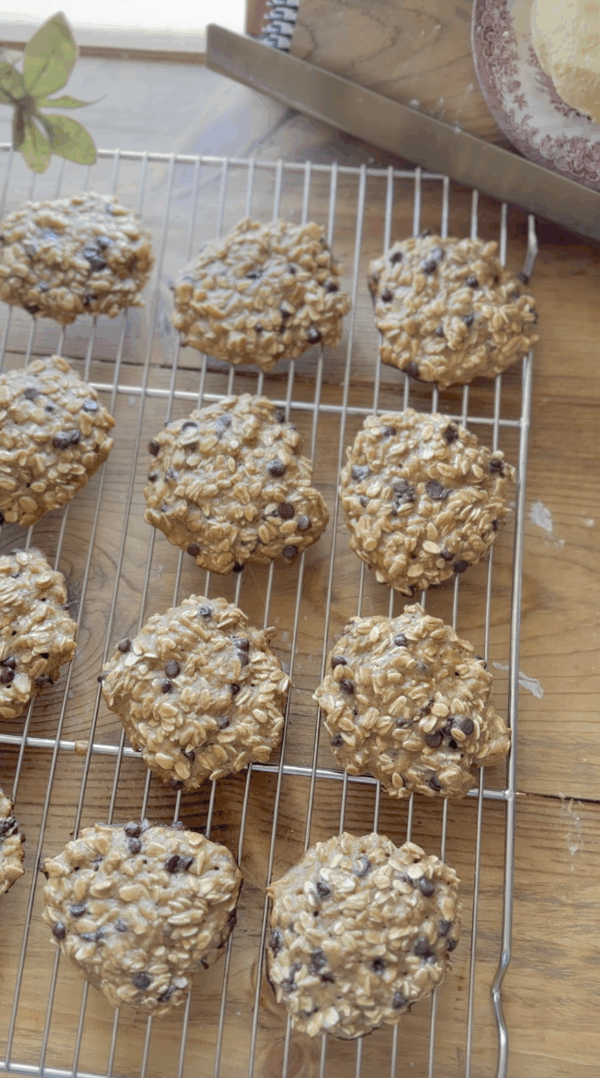 Protein Cookie Recipe The Entire Family Will Love! - milkmaid farm